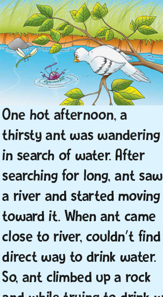 Ant and Pigeon Story – Helping Others - Think and Smile